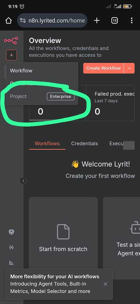 Self-hosted n8n Community Edition shows "Project Enterprise" and ...