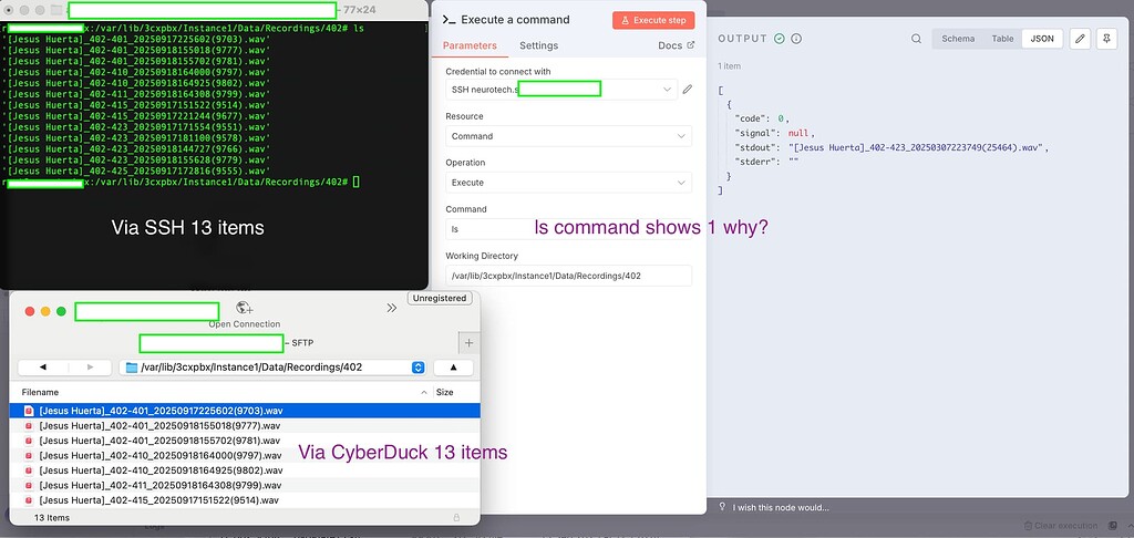 SSH ls command discrepancy, why? - Questions - n8n Community