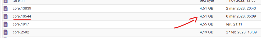 Growing .core file extension in root - Questions - n8n Community